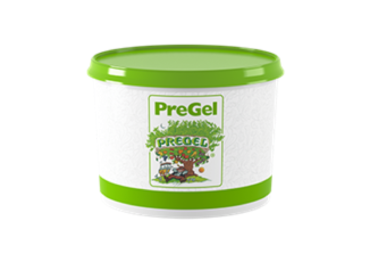 ARABESCHI – BILBERRY – Jamco Trading